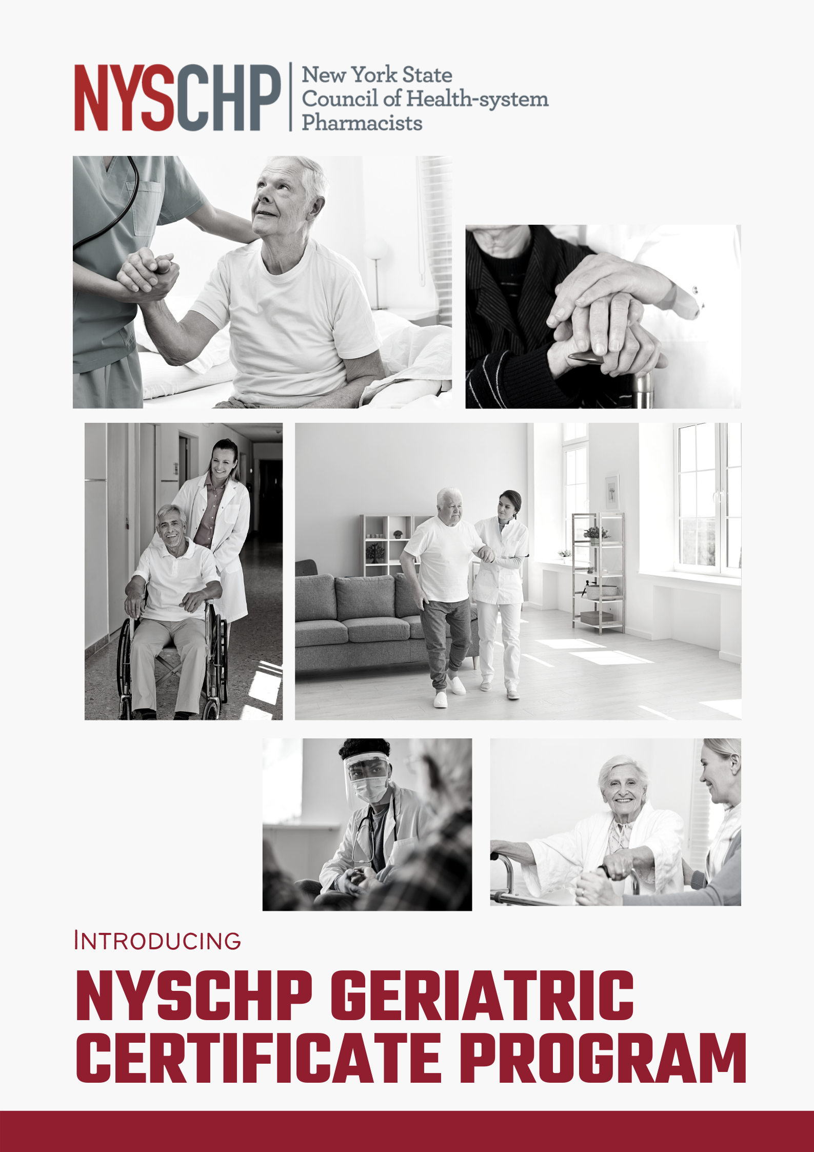 Home [www.nyschp.org]